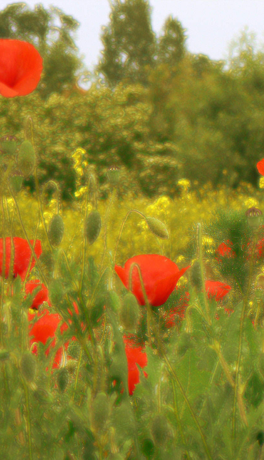 Meditacija oslobađa od loše karme - meditacija.org - www.meditacija.org