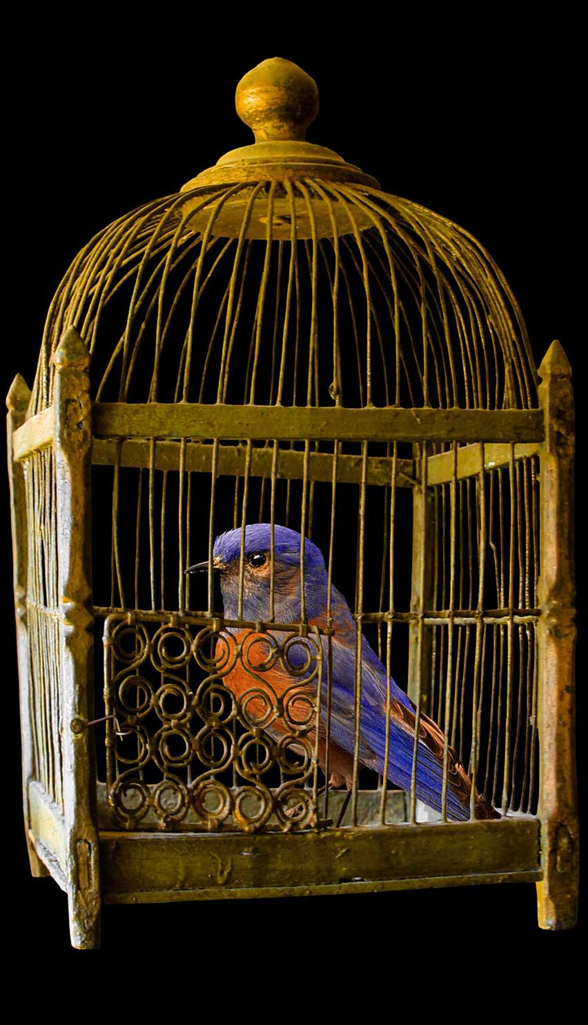 Tišina oslobađa - www.meditacija.org